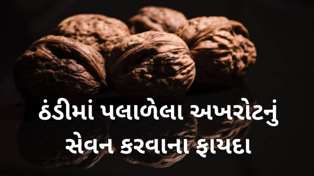 પલાળેલી અખરોટનું સેવન કરવાના ફાયદા - Paladel Akhrot