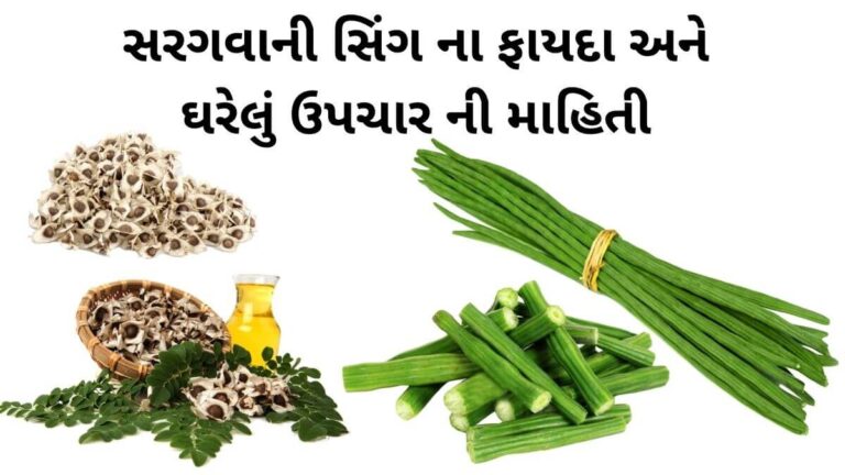 સરગવાની સિંગ ના ફાયદા અને ઘરેલું ઉપચાર ની માહિતી| Saragva ni sing fayda