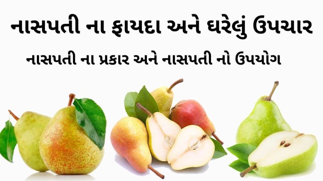 નાસપતી ના ફાયદા અને ઘરેલું ઉપચાર | Naspati na fayda