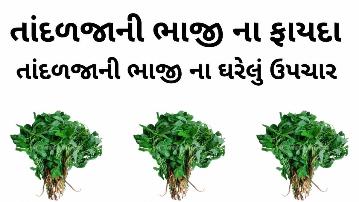 તાંદળજાની ભાજી ના ફાયદા અને ઘરેલું ઉપચાર | Tandalja ni bhaji na fayda